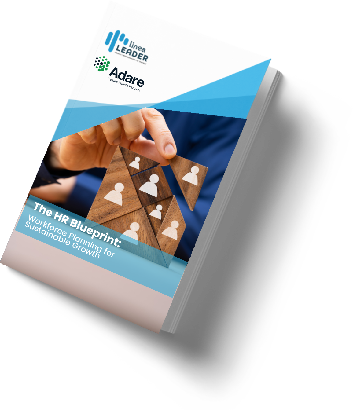 The HR Blueprint - Workforce Planning for Sustainable Growth - Linea